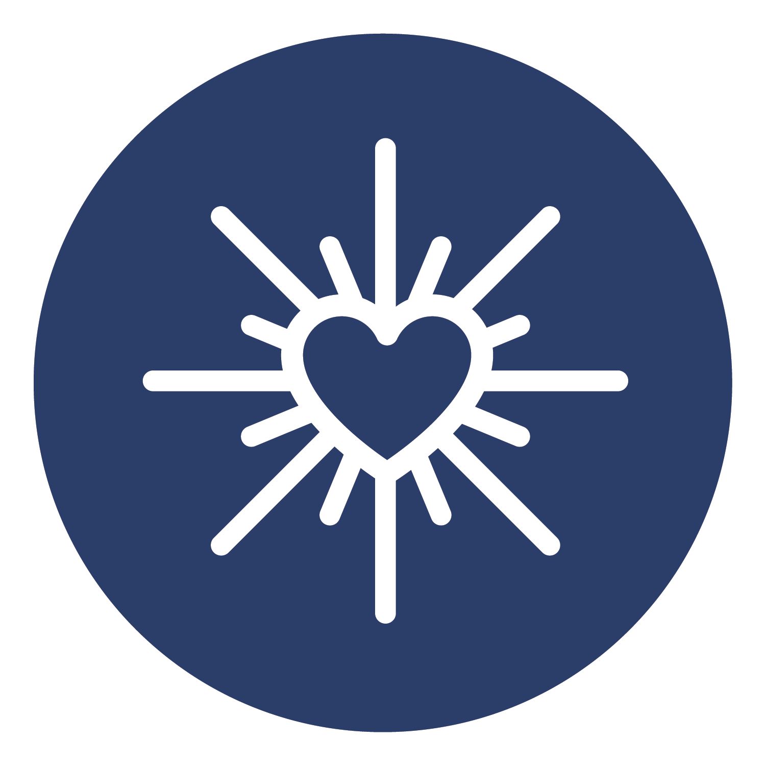 Big Picture Questions and Answers | Lifeway