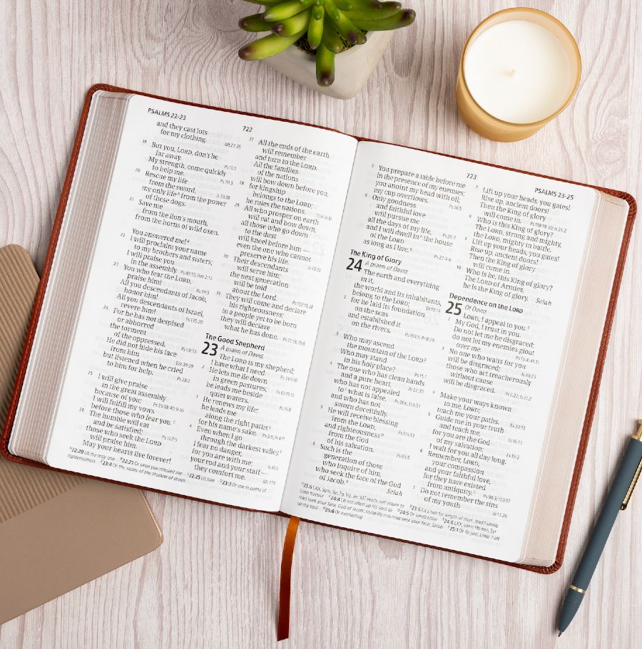 Digital Study Edition Bibles | Lifeway