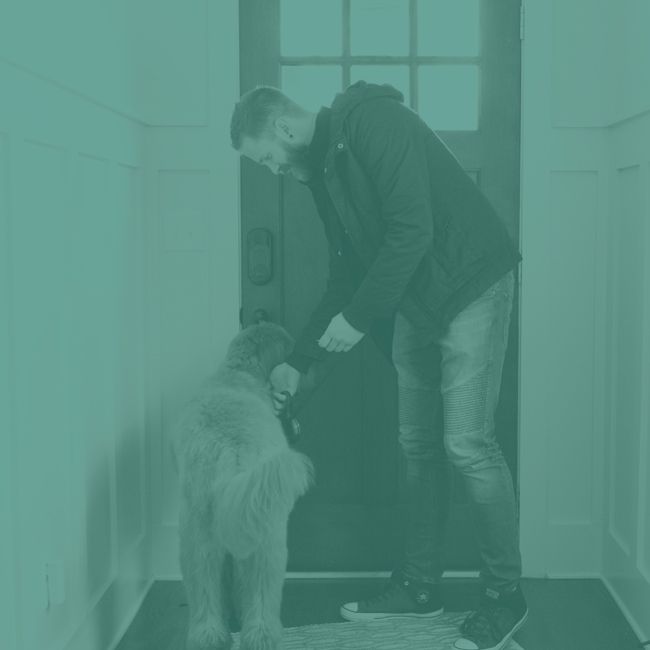 Shop Christian Bible Studies, Books, & Bibles | Lifeway