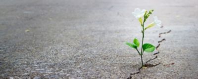 How Does Easter Bring Us Hope? | Lifeway