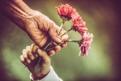 Our Giving is an Act of Worship | Lifeway