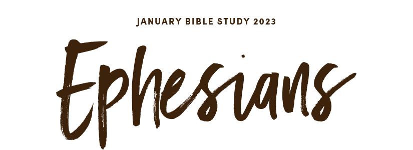 January Bible Study | Lifeway