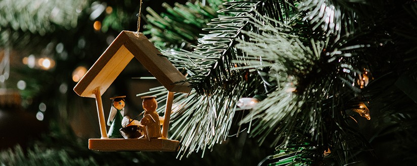 How We Know Jesus Is the True Savior | Lifeway