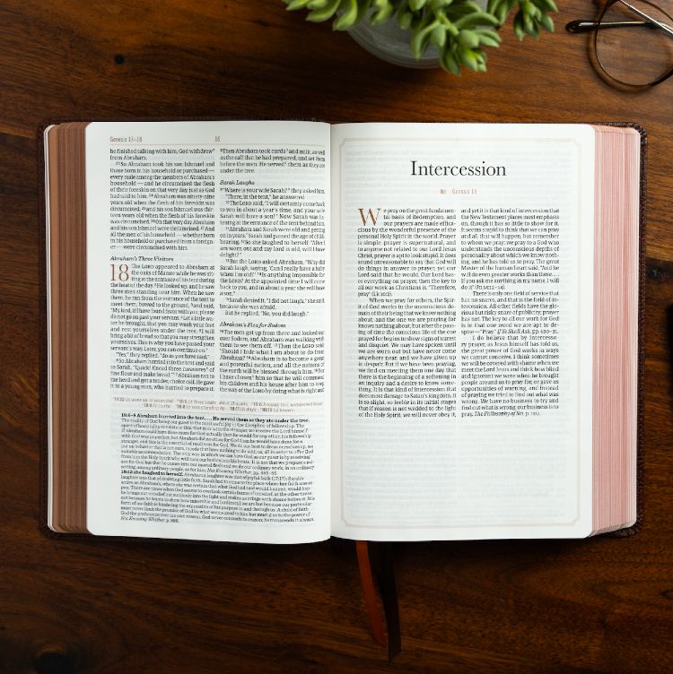 CSB Oswald Chambers Bible | Lifeway