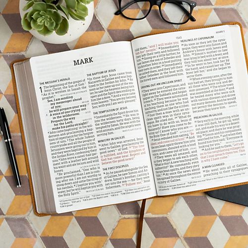 Large Print Bible | CSB, KJV, NASB | Lifeway