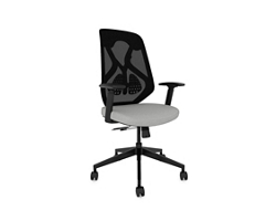 Roswell Ergonomic Task Chair with Modern Design-Black/Black