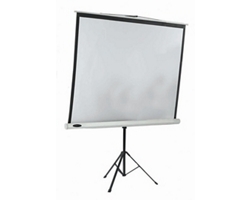 Vision Projection Screen, Motorized - 50"x50"
