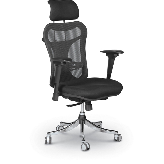 Ergonomic Executive Chair with Headrest
