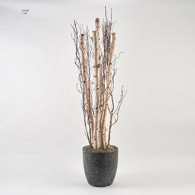 7' Birch Pole and Birch Branches in Round Black Textured Planter by D ...