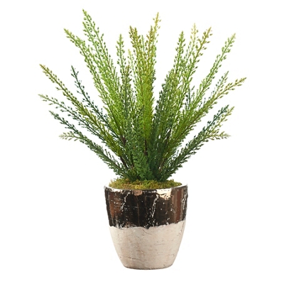 Heather Fern in Rustic Ceramic Planter by D and W Silks Inc | NBF.com
