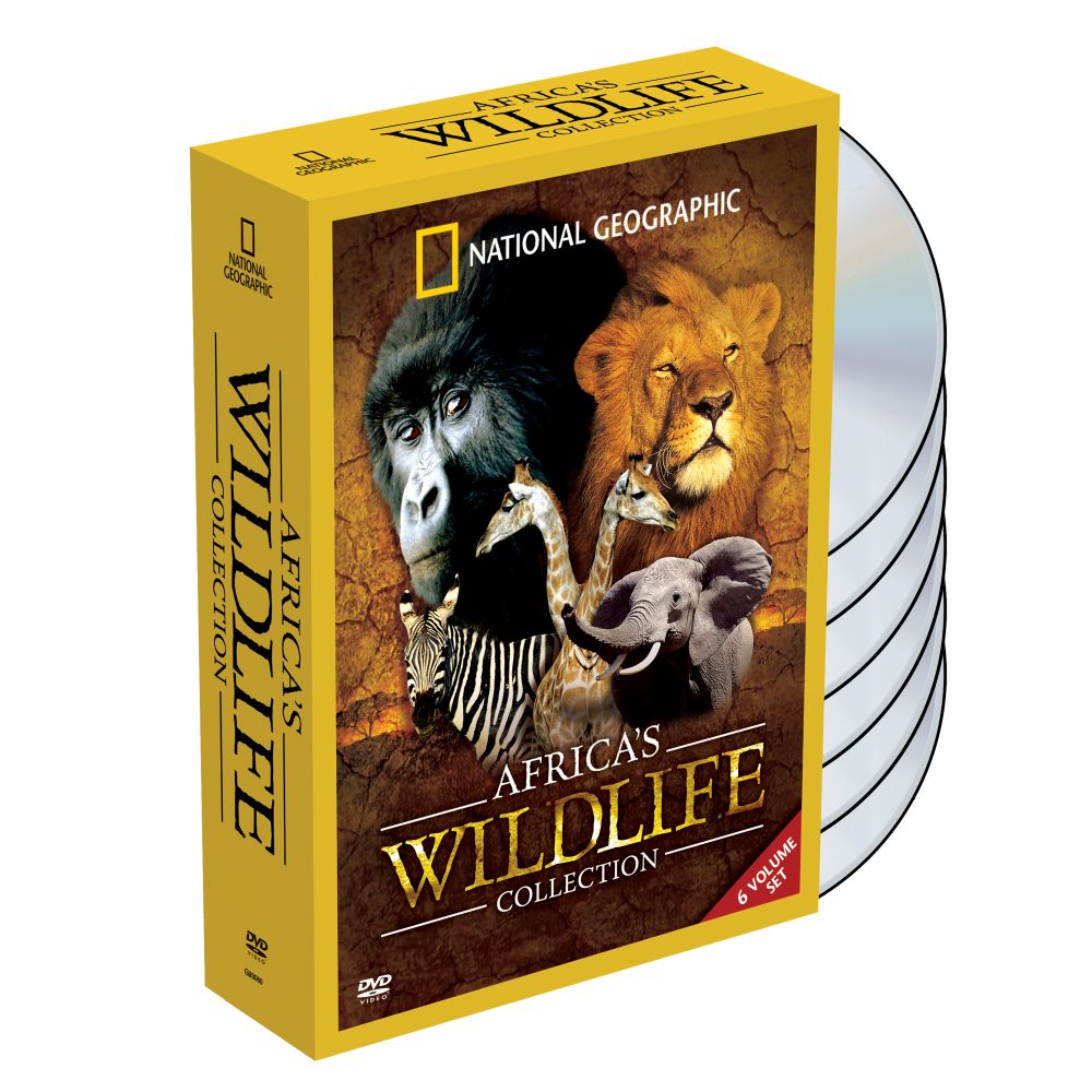 Africa's Wildlife Collection DVD Set - National Geographic Store