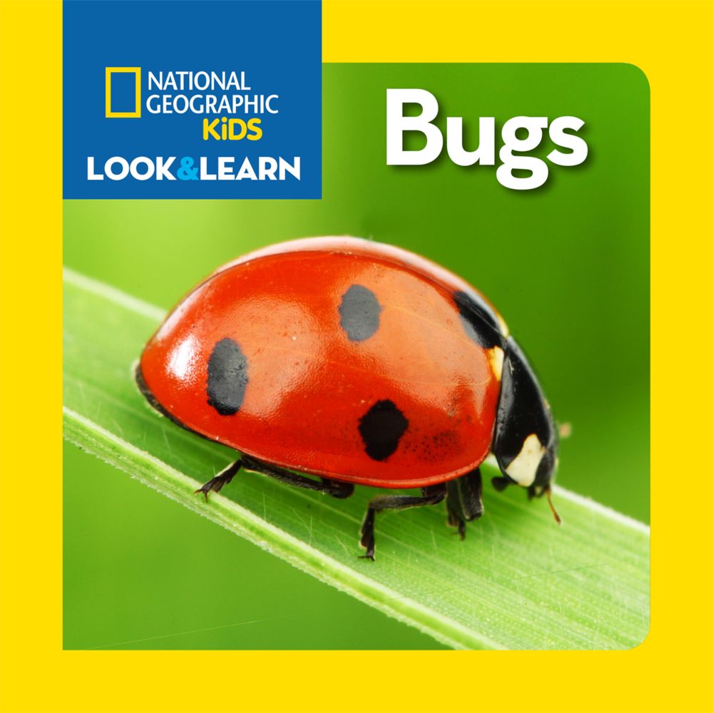 National Geographic Little Kids Look and Learn: Bugs - National ...