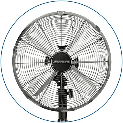 Pedestal fan