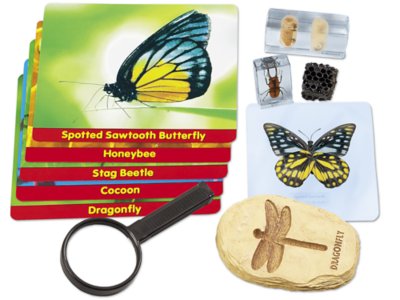 Insects Specimen Center at Lakeshore Learning