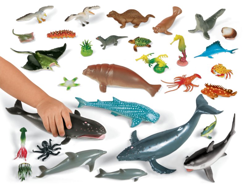 Ocean Animals