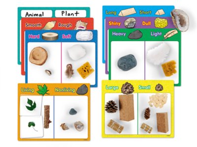 Science Specimens Sorting Center at Lakeshore Learning