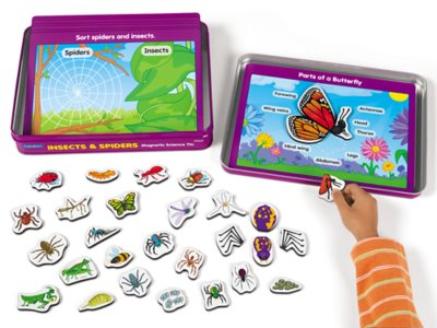 Insects & Spiders Magnetic Activity Tin at Lakeshore Learning