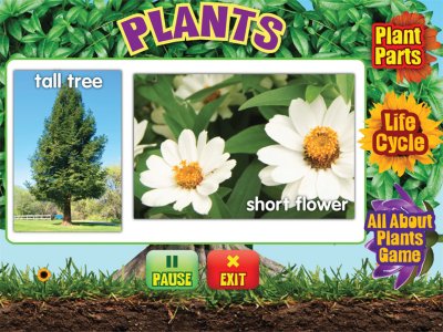 Plants Activities - Interactive CD-ROMs at Lakeshore Learning