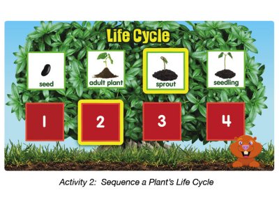 Plants Activities - Interactive CD-ROM - Site License at Lakeshore Learning