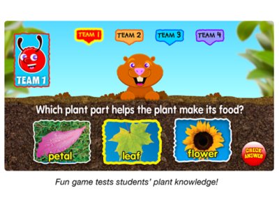 Plants Activities - Interactive CD-ROM - Site License at Lakeshore Learning