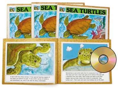 Sea Turtles Read-Along at Lakeshore Learning