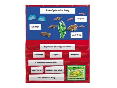 Life Cycle of a Frog Pocket Chart Kit at Lakeshore Learning