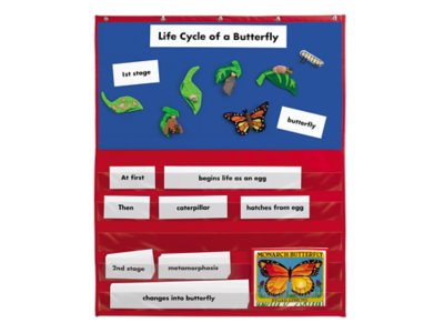 Life Cycle of a Frog Pocket Chart Kit at Lakeshore Learning