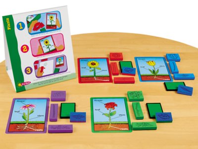 Read About Science Learning Center - Life Cycles at Lakeshore Learning