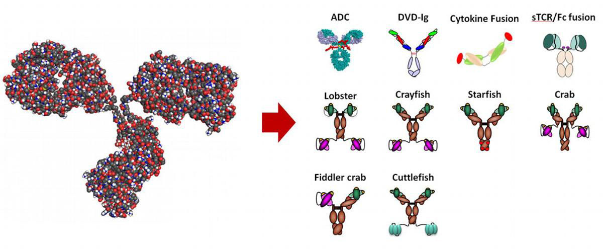 A molecular behavior chart: speeding up research with predictive ...