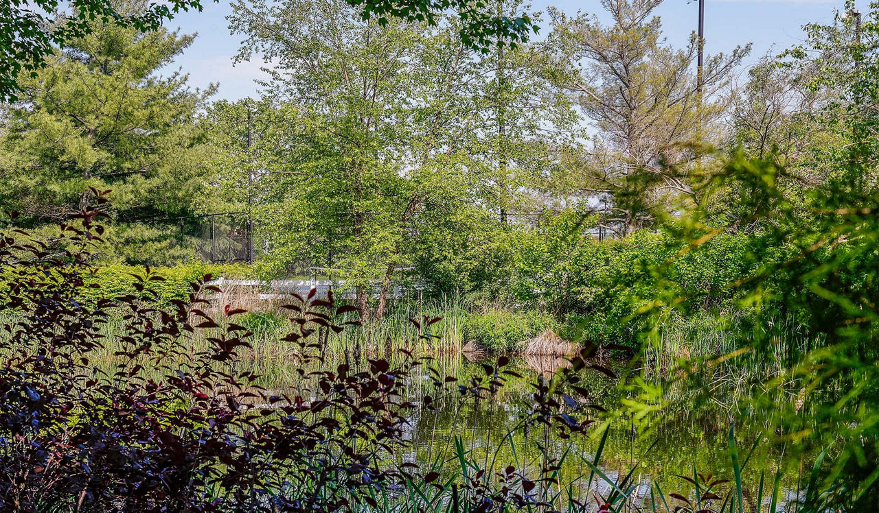 Shenandoah Crossing - Fairfax, VA - Gallery