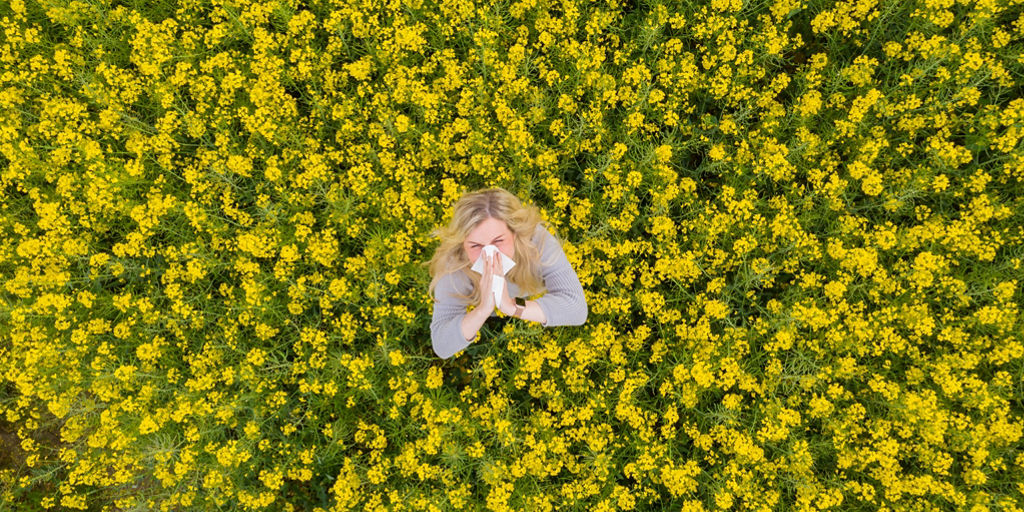 Pollen’s callin’: Help for allergies in North Carolina | Blue Cross NC