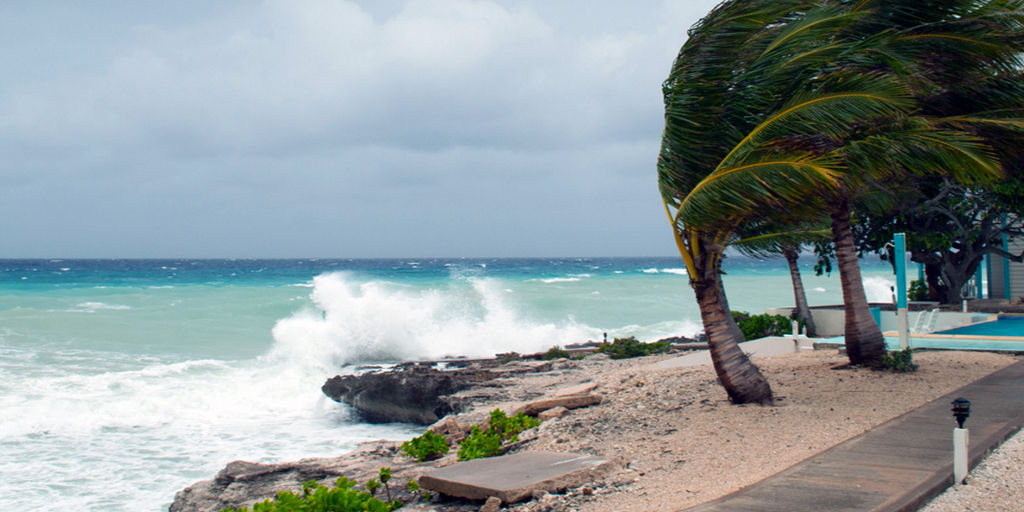 Must-know tips to protect yourself and your family during hurricanes ...