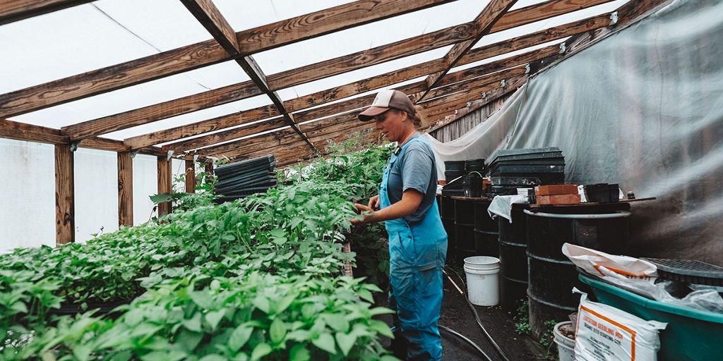How TRACTOR Food & Farms is making NC communities stronger with local ...
