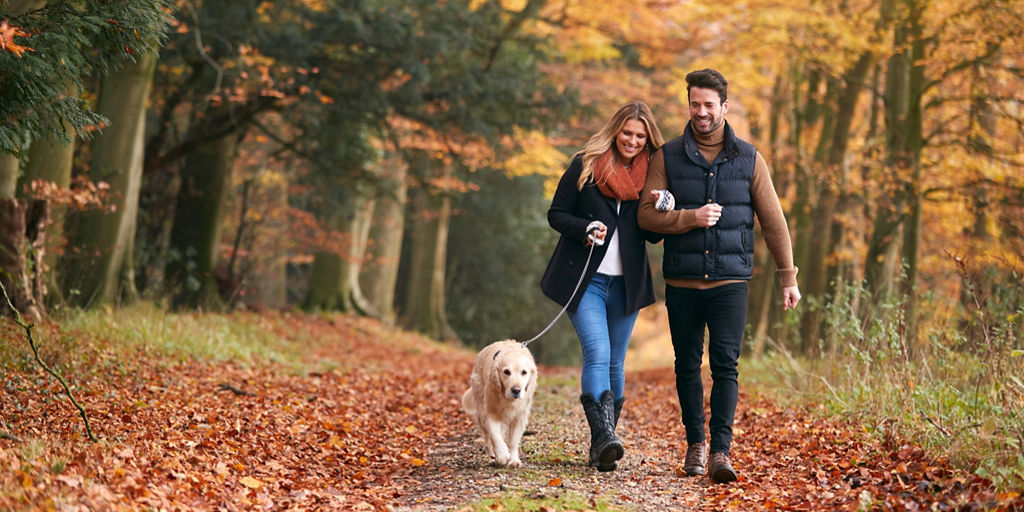 Step up your wellness with an autumn walk | Blue Cross NC