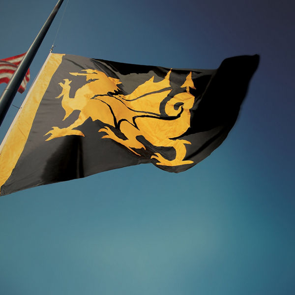 Press Releases & Recent News