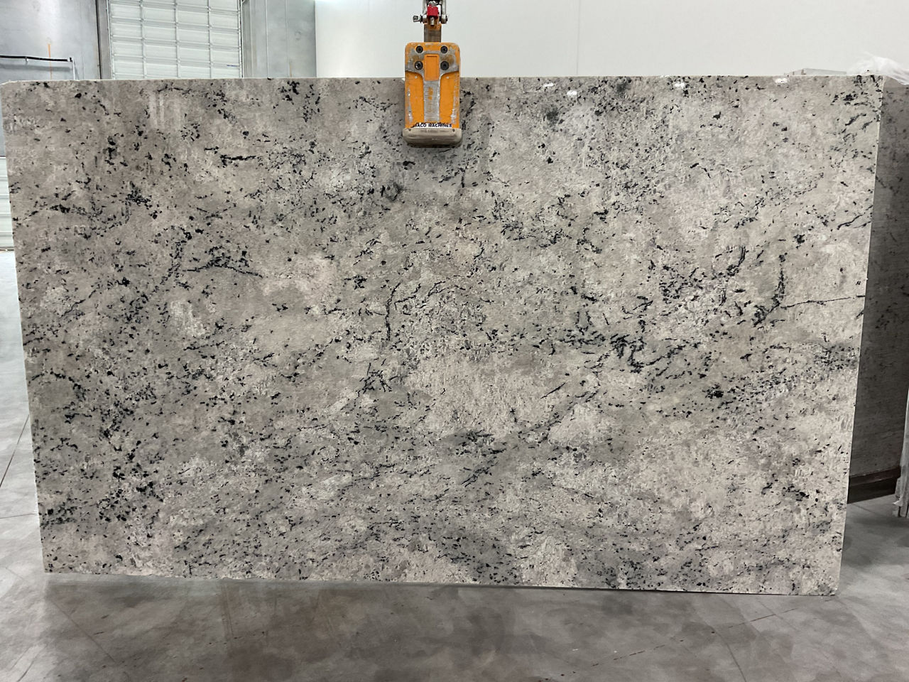 Granite - Natural Stone Slab - Cotton White
