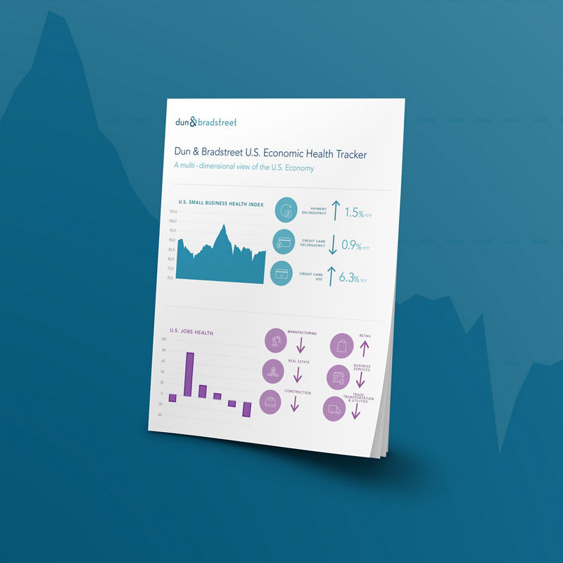 Reports and Insights for Data-Driven Decision Making