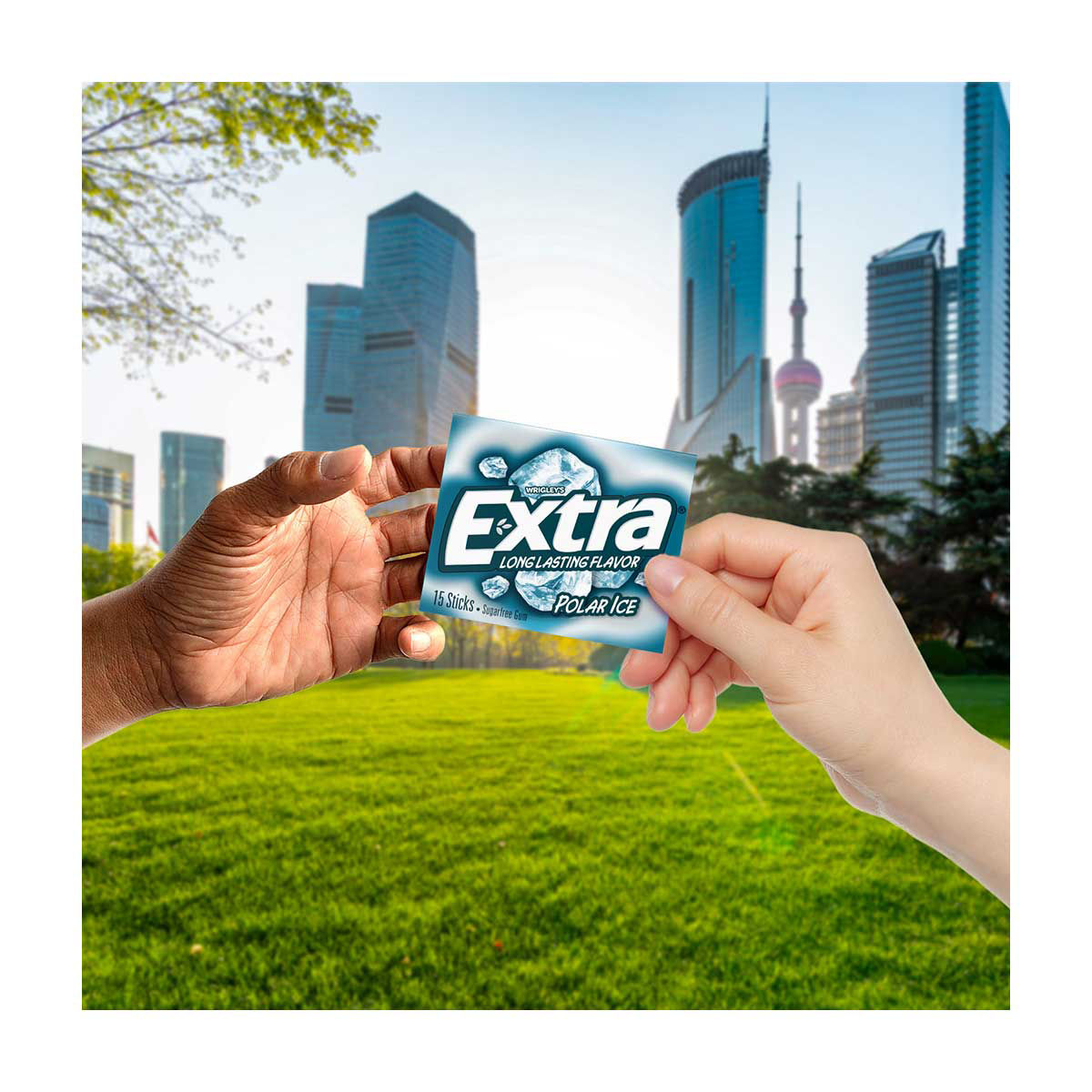 EXTRA Gum Polar Ice Sugar Free Chewing Gum, Single Pack, 15 Sticks