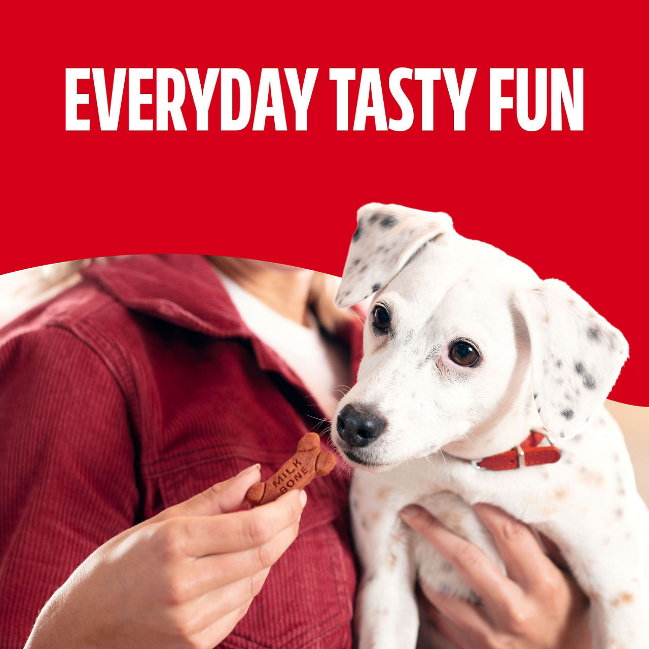 Buy Milk-Bone Soft & Chewy Beef & Filet Mignon Recipe Dog Treats, 2.7 ...