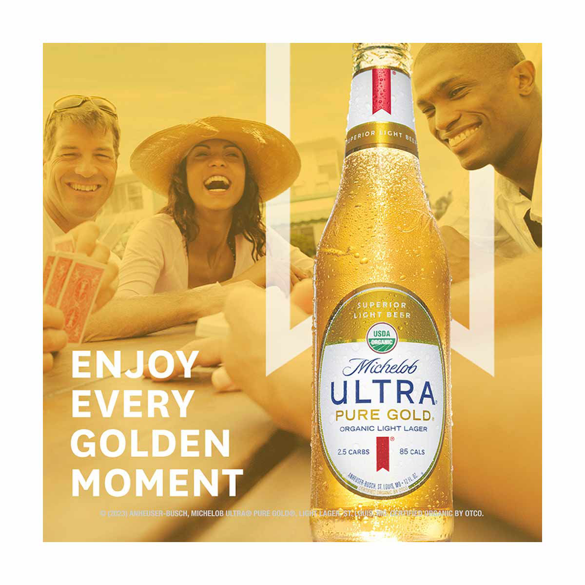 Michelob ULTRA Pure Gold Organic Light Lager, 12 Pack Beer - 12 FL OZ ...