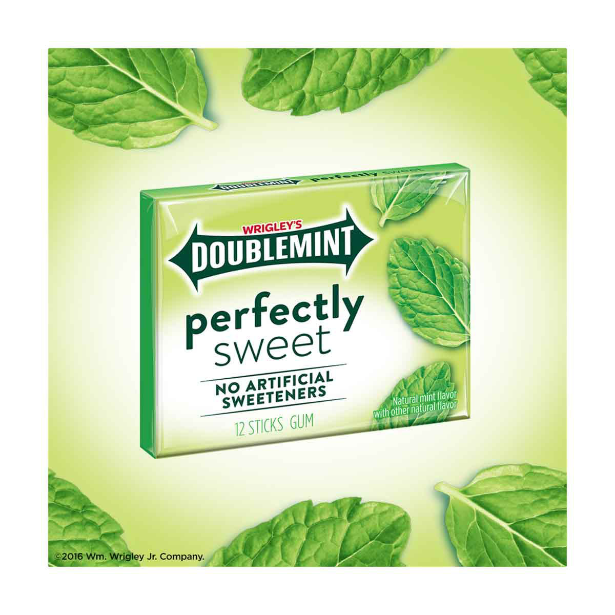 Doublemint Wrigley's Doublemint Slim Pack Chewing Gum, 15 Sticks ...