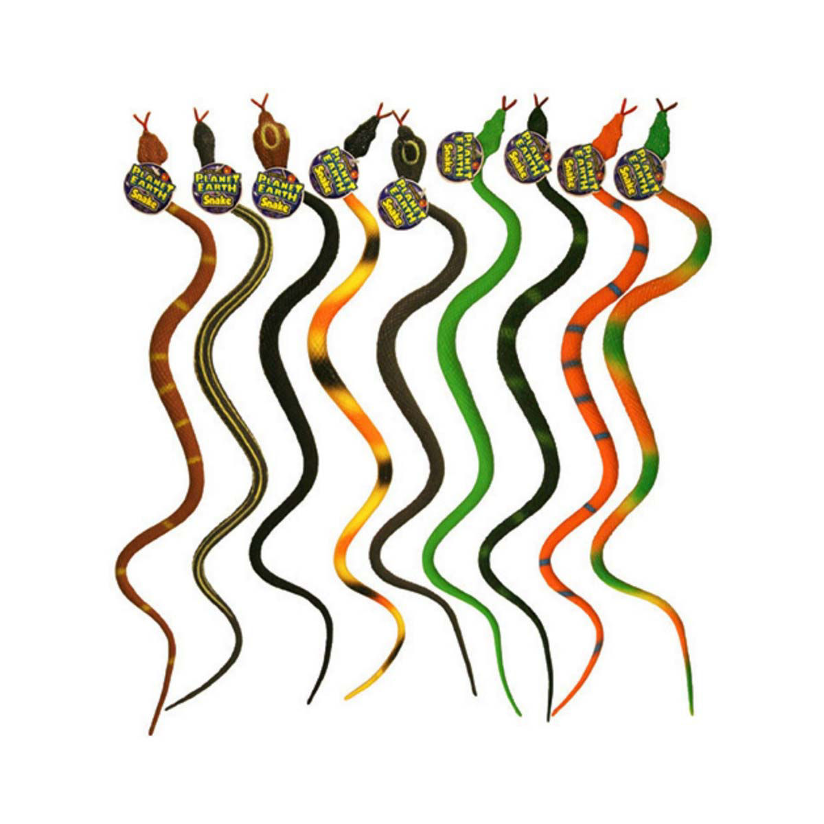 Planet Earth Snake | Hamilton Place