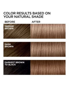 L'Oreal Paris Feria Multi-Faceted Shimmering Permanent Hair Color, B61 ...