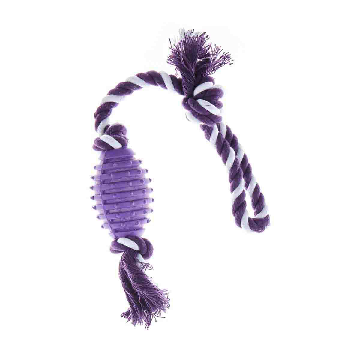 Rope Toy with Rubber Football