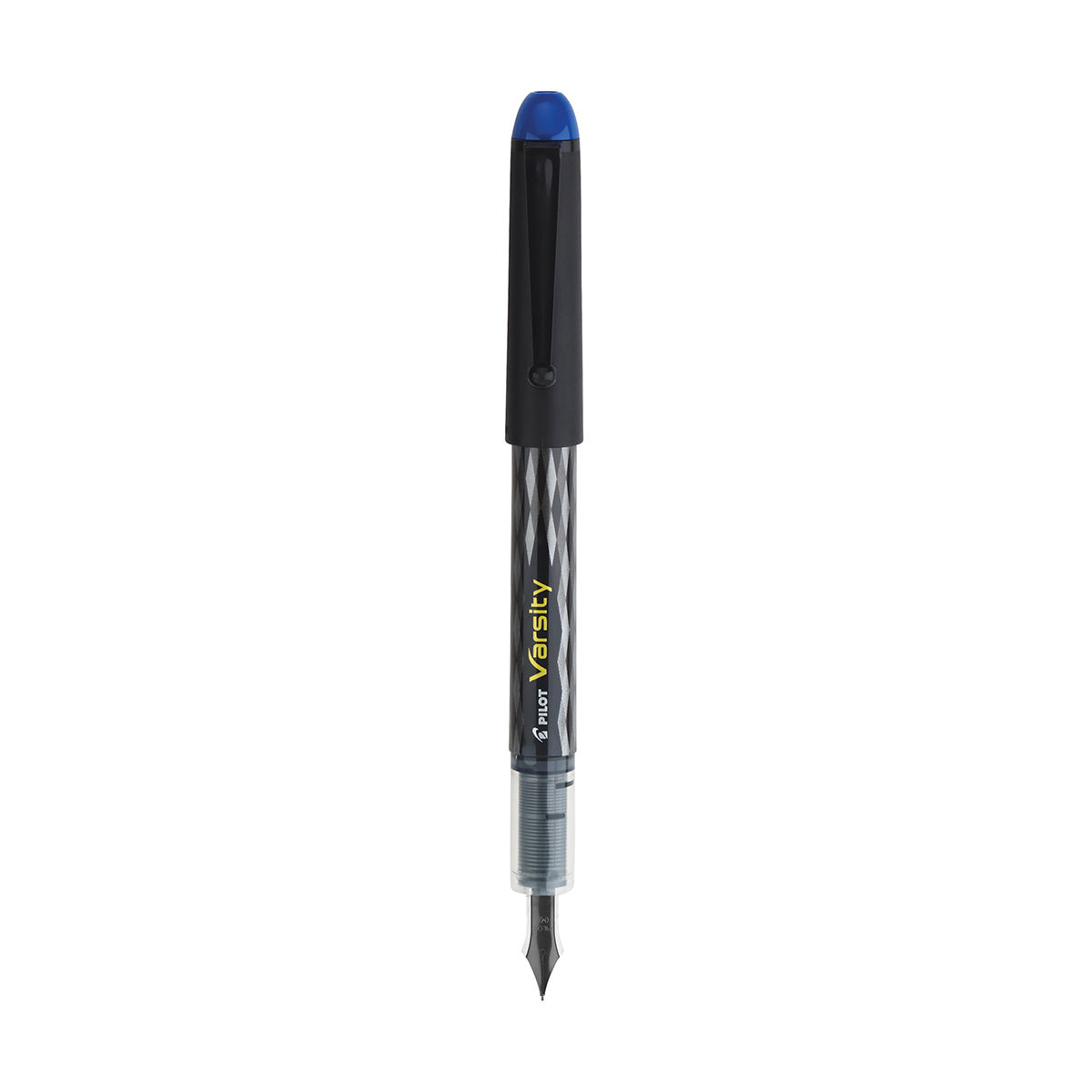 Pilot Varsity Fountain Pen, Blue