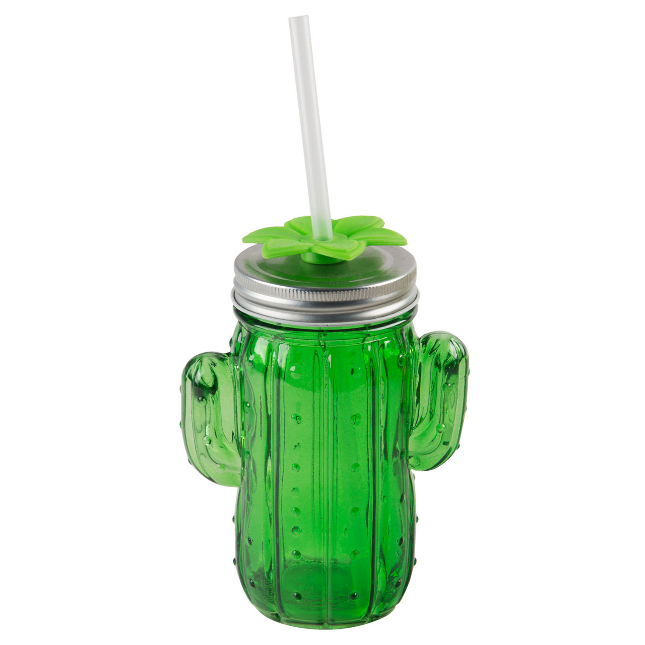 Glass Cactus Sipper with Straw