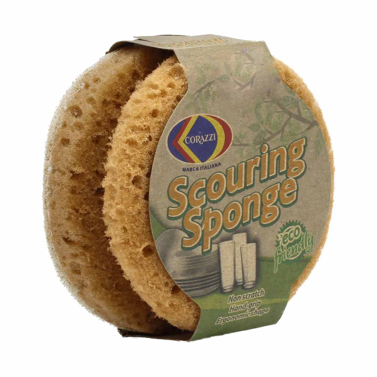 Corazzi Eco-Friendly Rounded Non-Scratch Sponge, 1 Pack | Hamilton Place