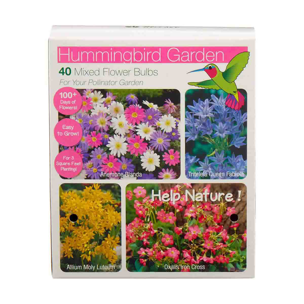 Hummingbird Garden Mixed Flower Bulb Pollinator Garden Kit, 40 Count