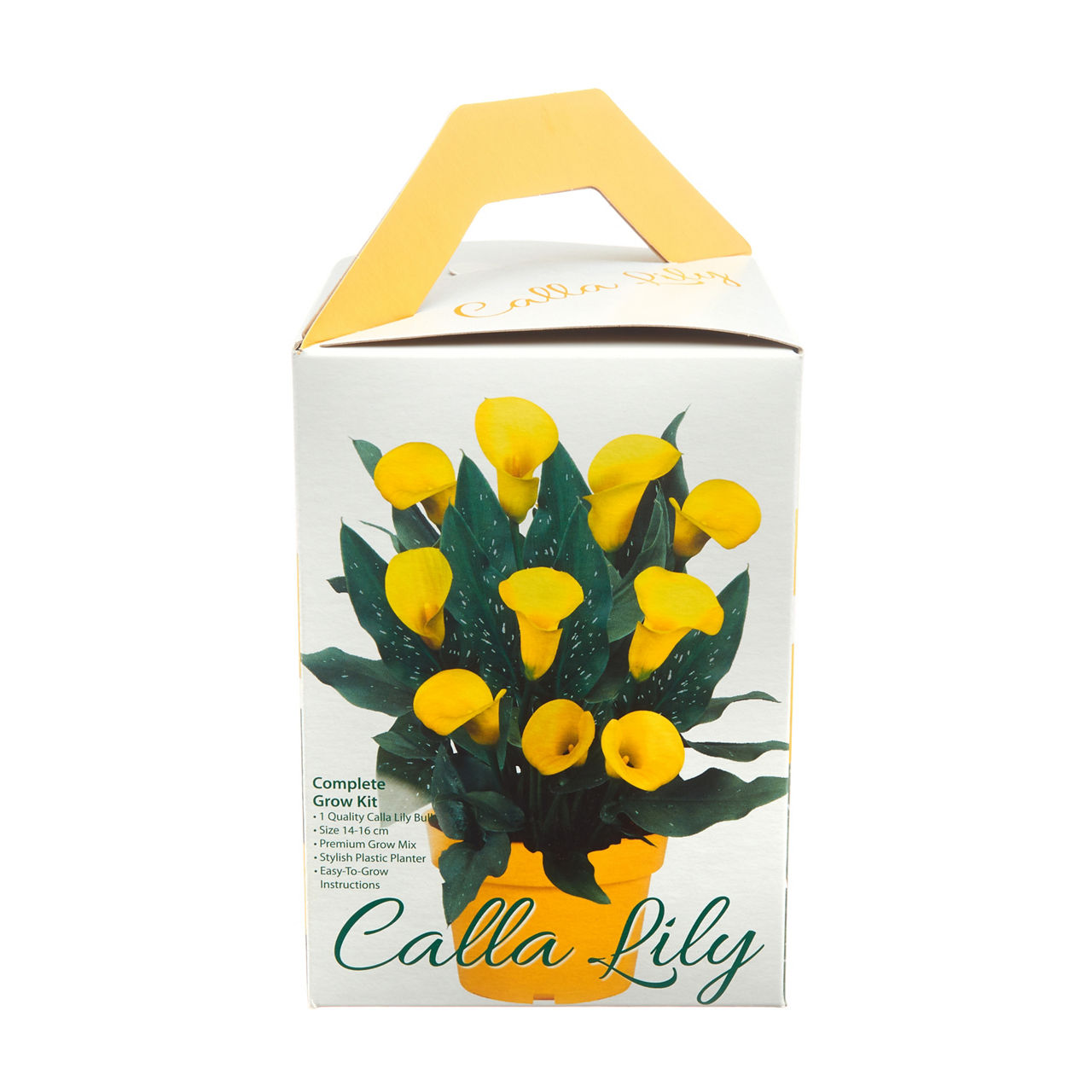 Calla Lily Complete Grow Kit