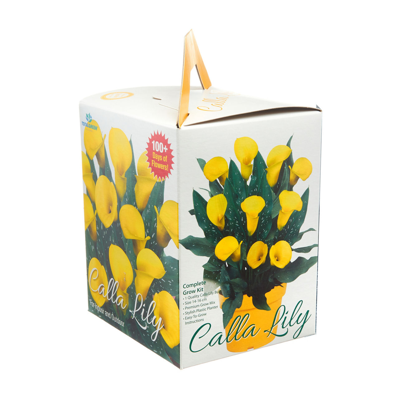 Calla Lily Complete Grow Kit